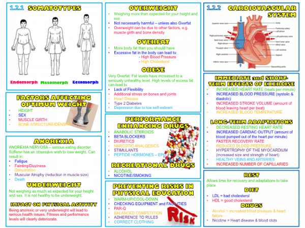 Edexcel GCSE PE Revision Mat – Topic on a Page @MrWallis_PE – PE4Learning