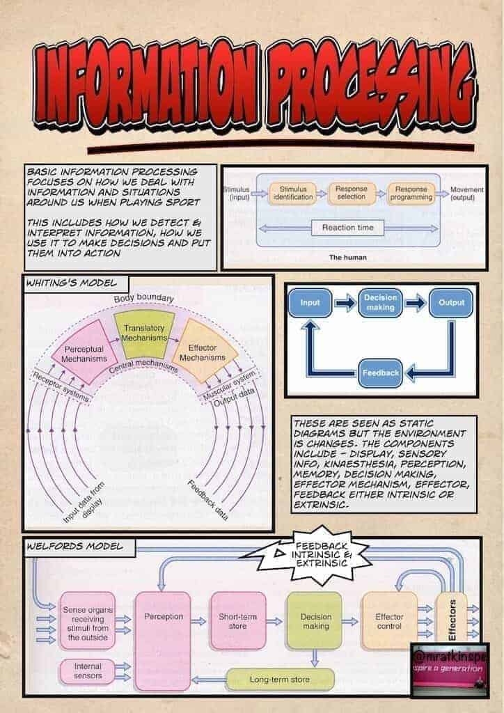 information-processing – PE4Learning