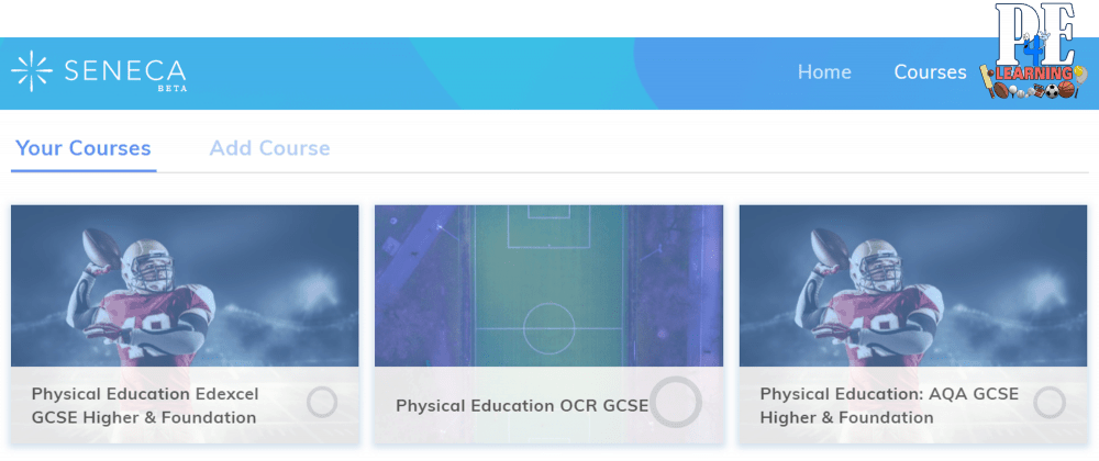 FREE PE Accelerated Learning System from @SenecaLearn | AQA Edexcel OCR ...